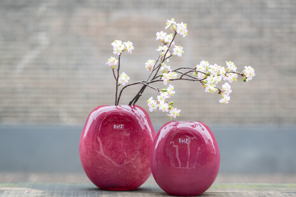 Official webshop | DutZ collection