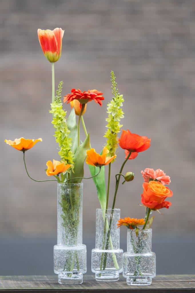 Official webshop | DutZ collection